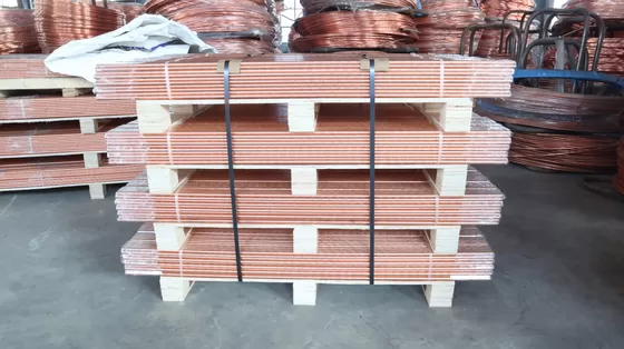 Copper Clad Steel Earthing Rods – A Practical Grounding Solution